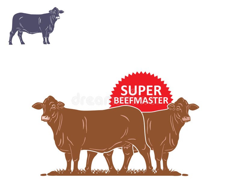 Brown Super Beefmaster Cattle Standing Stock Vector - Illustration of ...