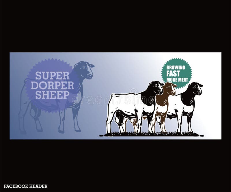 DORPER SHEEP HEAD, CUTE FACE of BIG RAM LOGO Stock Illustration ...
