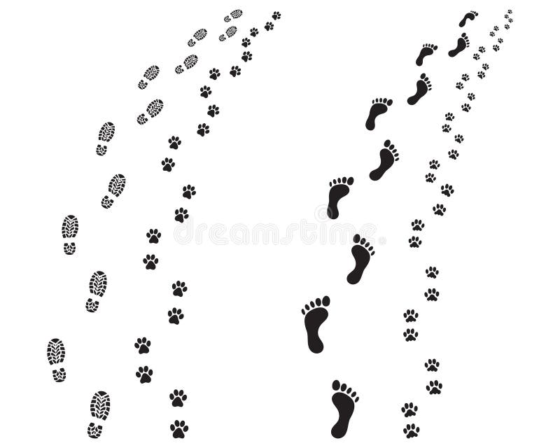 Prints of Shoes, Human Feet and Dog Paws Stock Illustration ...