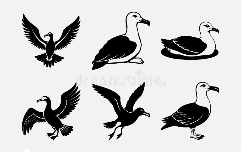 Print Ultimate Albatross Silhouette Vector Set: High-Quality Bird ...