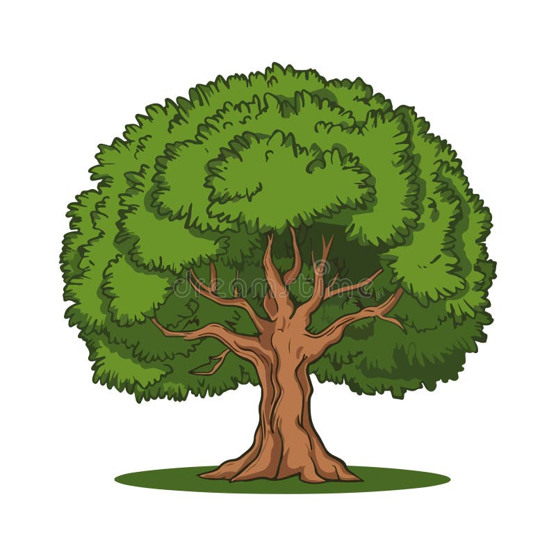Tree Drawing Design Vector Illustration Clipart Eps Stock Vector ...