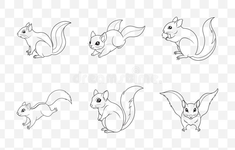 Print Comprehensive Collection of Detailed Flying Squirrel Line Art ...