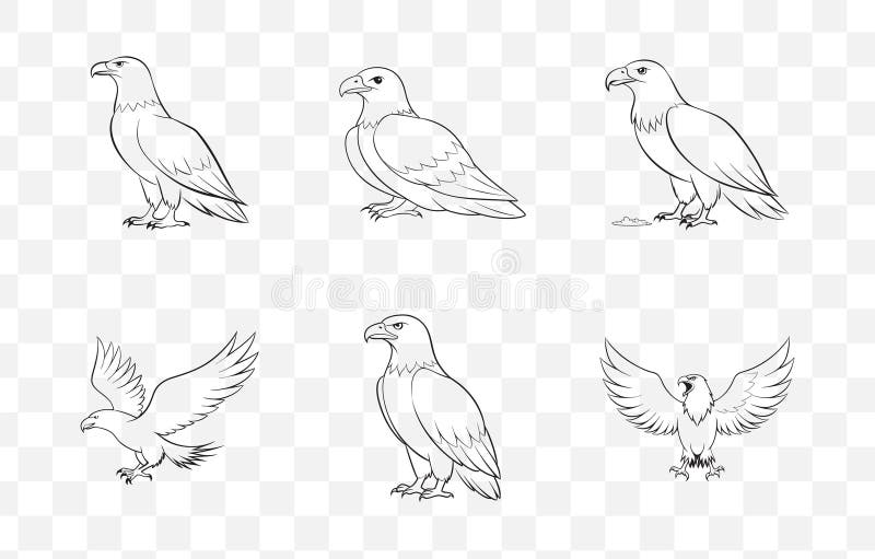 PrintExquisite Collection of Detailed Eagle Line Art Vector ...