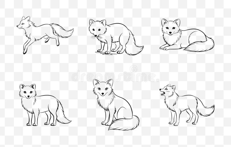 Arctic Fox Line Art Vector Set Featuring Stunning and Detailed ...