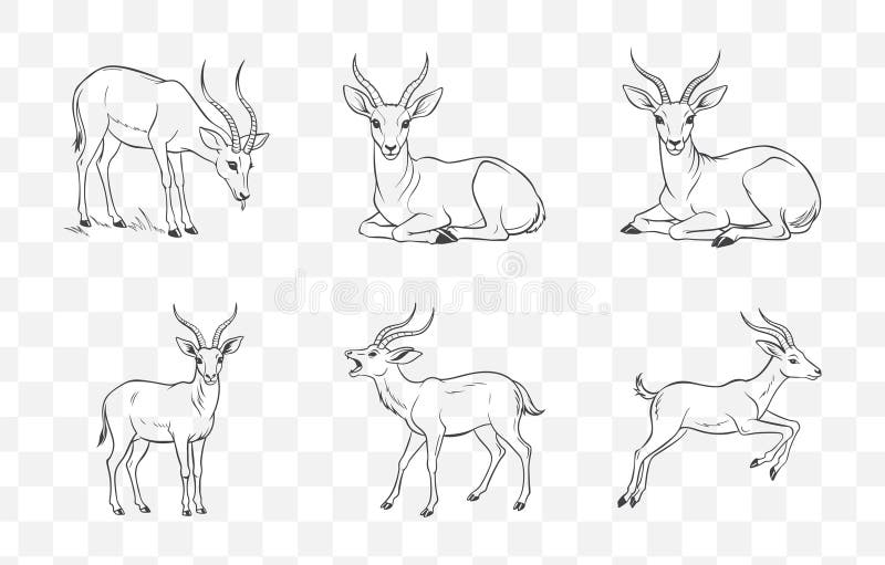 Print Comprehensive Antelope Line Art Vector Collection for Designers ...