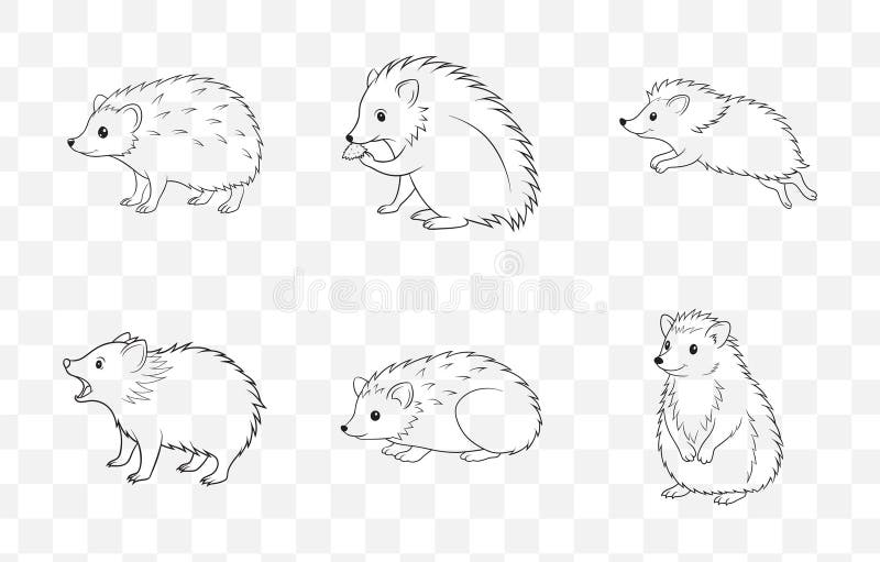 Print Hedgehog Line Art Vector Set with Unique Designs for Creative ...