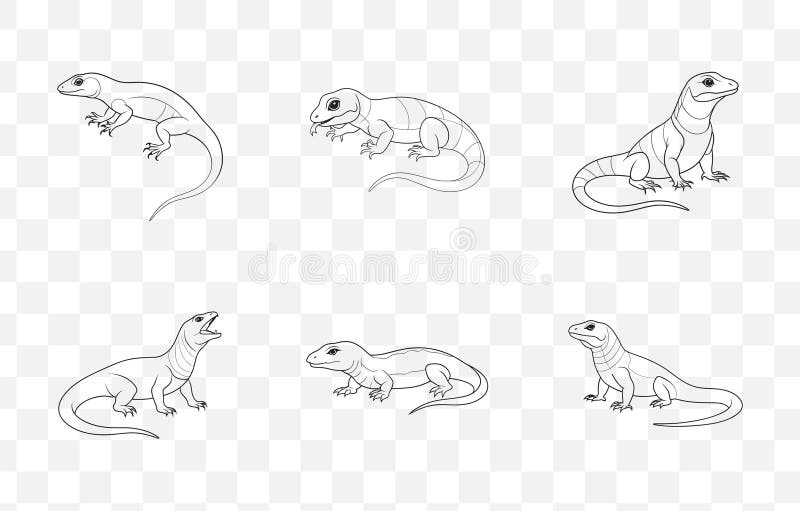 Print Monitor Lizard Art Vector Set Detailed Illustrations and Graphics ...