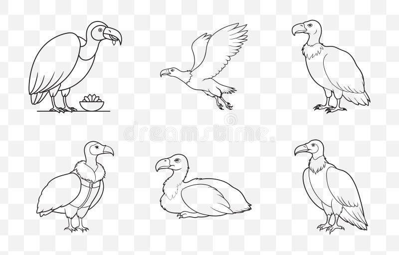 Print Vulture Line Art Vector Set Collection Featuring Elegant and ...