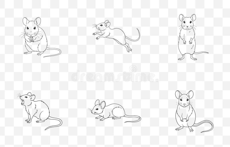 Print Mouse Line Art Vector Set Featuring Unique and Intricate Designs ...
