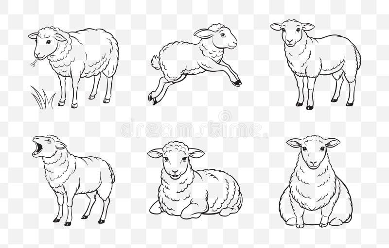 Sheep One Line Illustration. Lamb Single Line. Household Animals Line ...