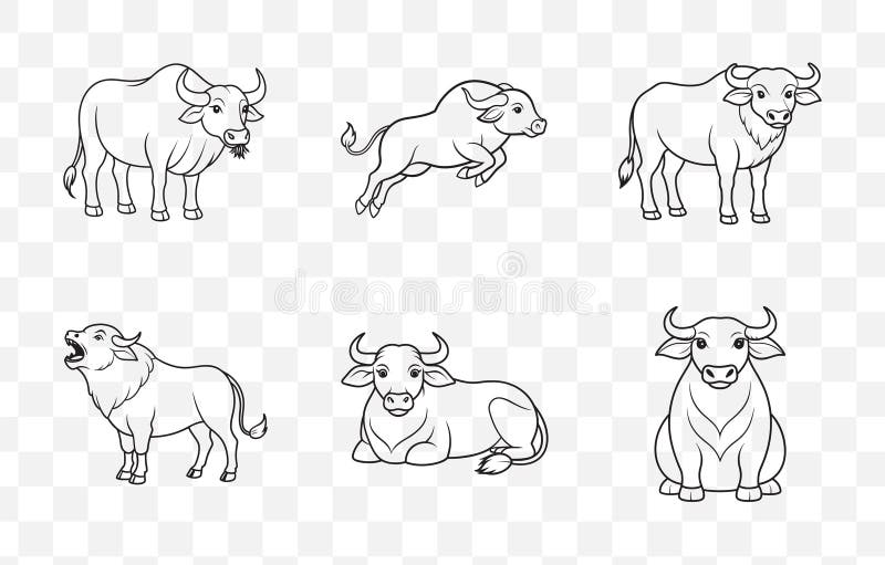 Print Buffalo Line Art Vector Set Collection of Detailed Buffalo ...