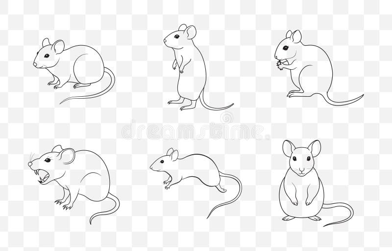 Print Comprehensive Rat Art Vector Set Featuring Detailed and ...