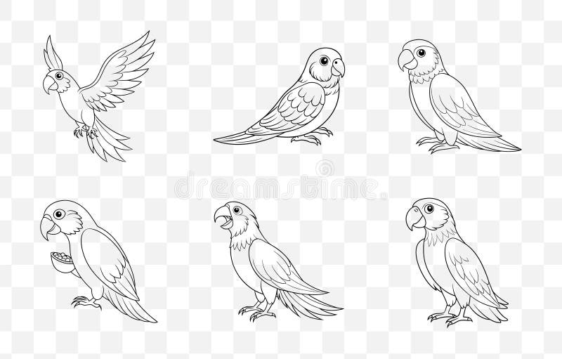 Print Elegant Parrot Line Art Vector Set for Detailed and Artistic ...
