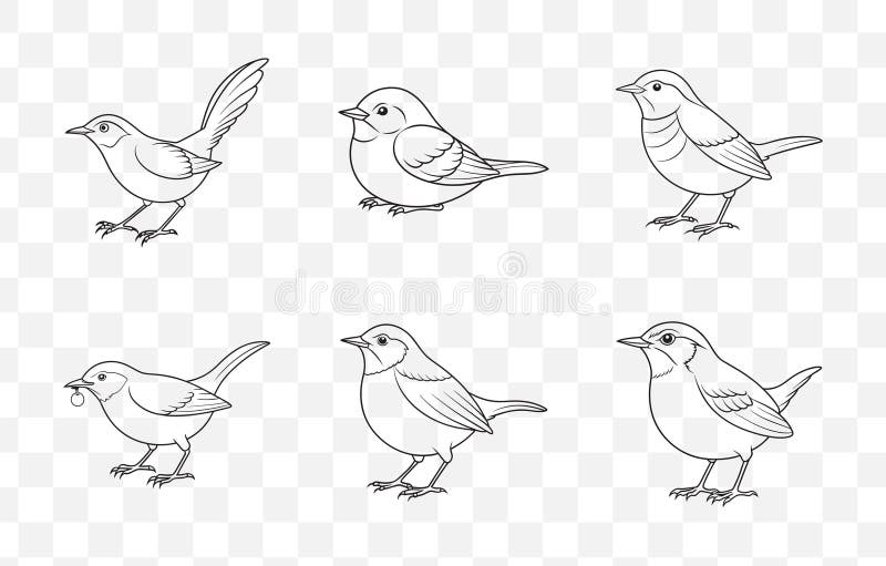 Print Comprehensive Wren Line Art Vector Set Featuring Detailed Bird ...