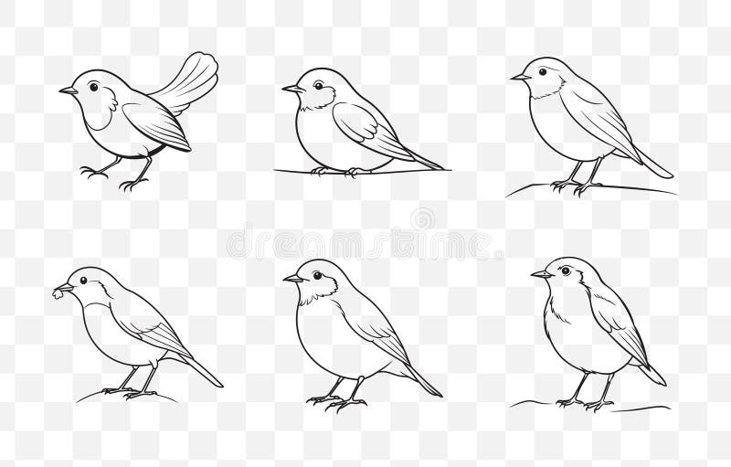 Print Robin Line Art Vector Set with Detailed and Elegant Designs for ...