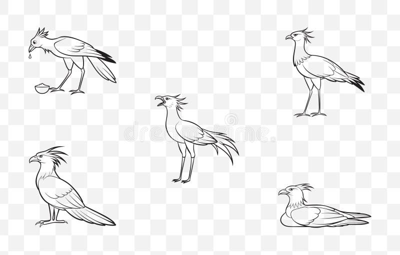 Print Elegant Secretary Bird Line Art Vector Collection for Unique and ...