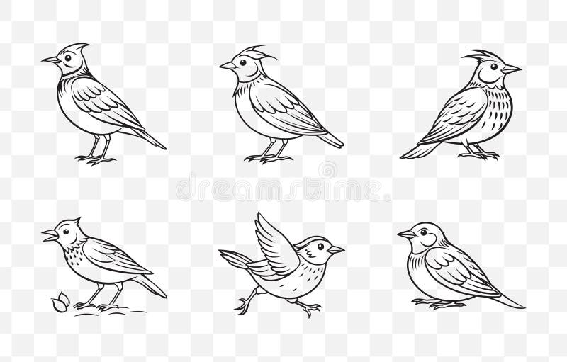 Print Lark Line Art Vector Set Beautifully Detailed Bird Illustrations ...