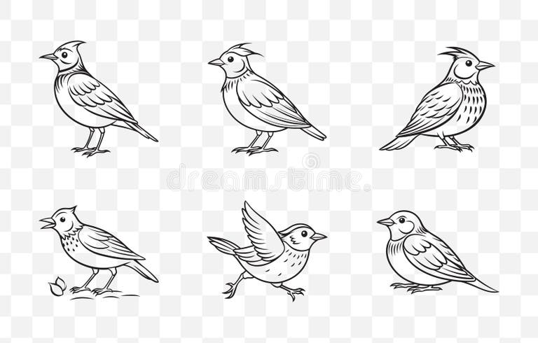 Print Lark Line Art Vector Set Beautifully Detailed Bird Illustrations ...