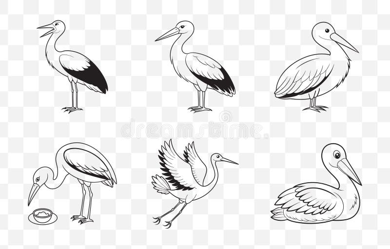 Print Elegant Stork Line Art Vector Collection Perfect for Artistic ...
