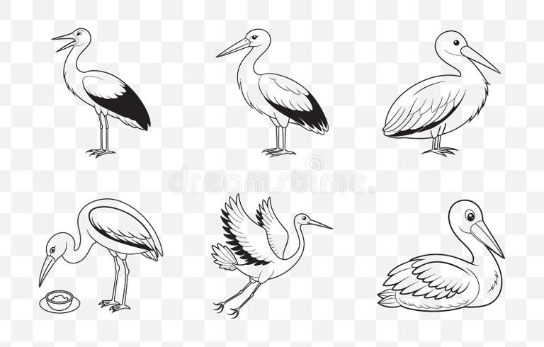 Print Elegant Stork Line Art Vector Collection Perfect for Artistic ...