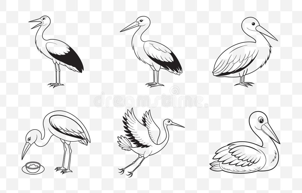 Print Elegant Stork Line Art Vector Collection Perfect for Artistic ...