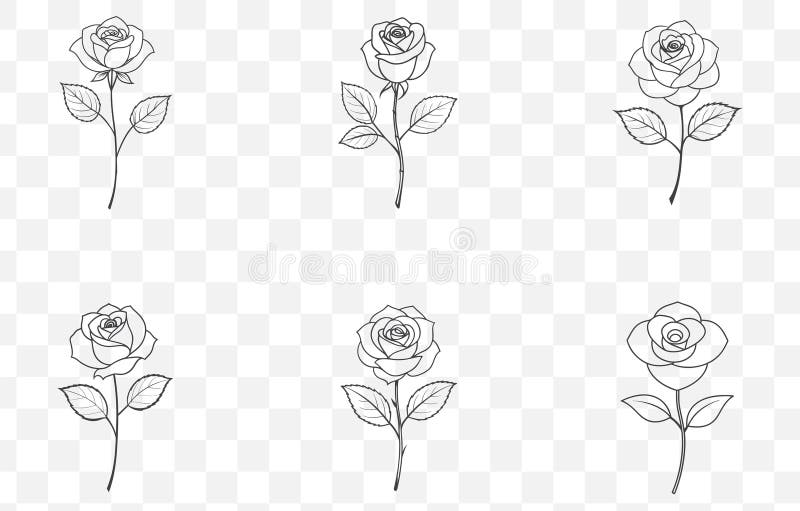 Print Elegant Rose Line Art Vector Set Perfect for Floral Illustrations ...