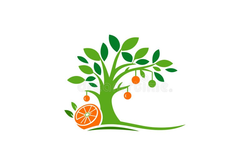 Citrus Canopy Orange Tree Vector Silhouette Stock Vector - Illustration ...