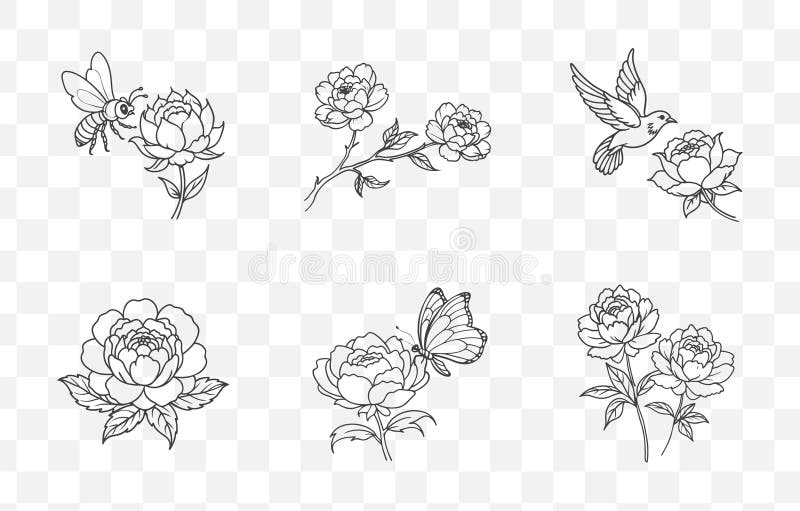 Print Peony Line Art Vector Set Elegant Floral Illustrations for Design ...