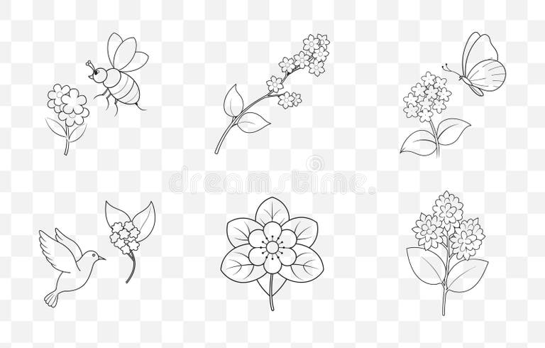 Print Elegant Lilac Line Art Vector Set for Stunning Floral Designs and ...