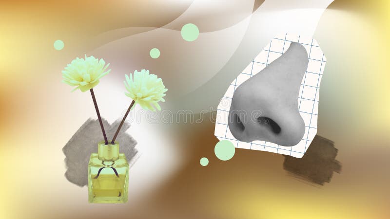 Diffuser Aroma Therapy Collage Art Stock Illustrations – 1 Diffuser ...