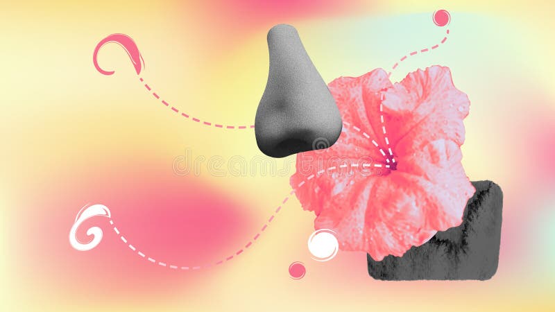 Smelling Flowers Black White Stock Illustrations – 29 Smelling Flowers ...