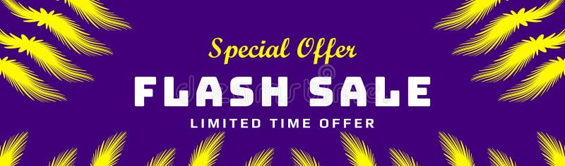 Special Offer Limited Time Offer Flash Sale Banner Poster for ...