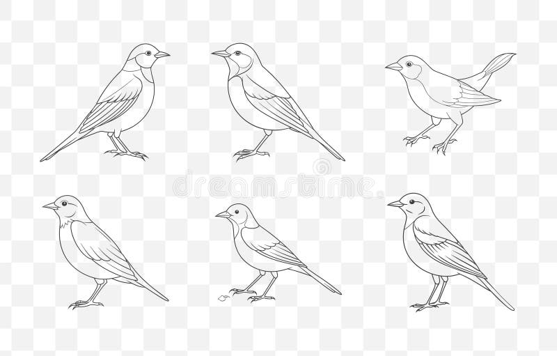 Minimalist Pipit Stock Illustrations – 1 Minimalist Pipit Stock ...