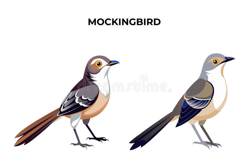 Mockingbird Background Stock Illustrations – 151 Mockingbird Background ...