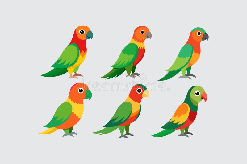 Beautiful Bird Conure Parrot Vector Artwork-1. Stock Vector ...