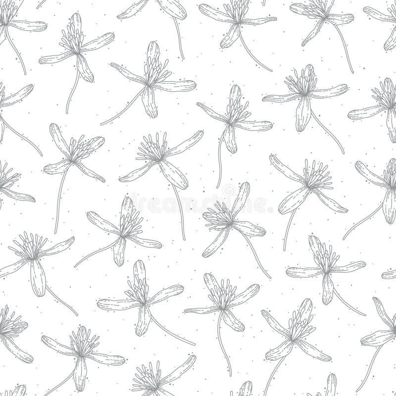 Series of Seamless Flower Pattern Motif in Rustic Floral Hand Drawing ...