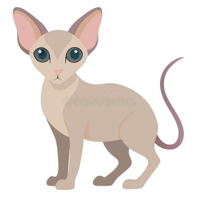 Outline Cat Sphynx Stock Illustrations – 914 Outline Cat Sphynx Stock ...
