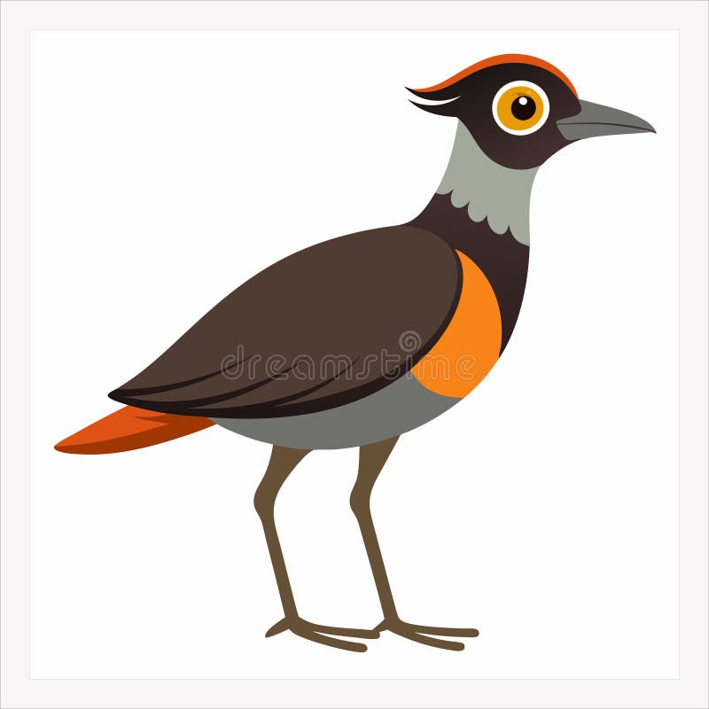 Beautiful Ground Gurney Pitta Bird Vector Art Illustration Stock Vector ...