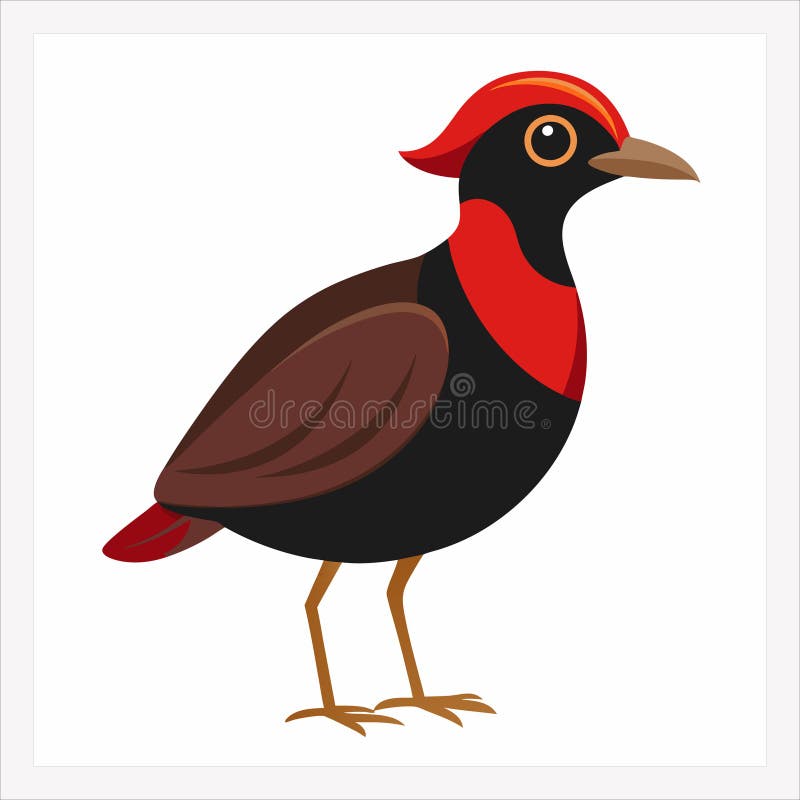 Beautiful Ground Gurney Pitta Bird Vector Art Illustration Stock ...