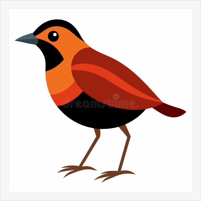 Pitta Bird Stock Illustrations – 222 Pitta Bird Stock Illustrations ...