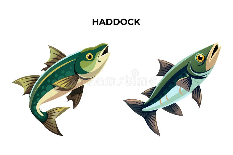 Haddock Stock Illustrations – 951 Haddock Stock Illustrations, Vectors ...