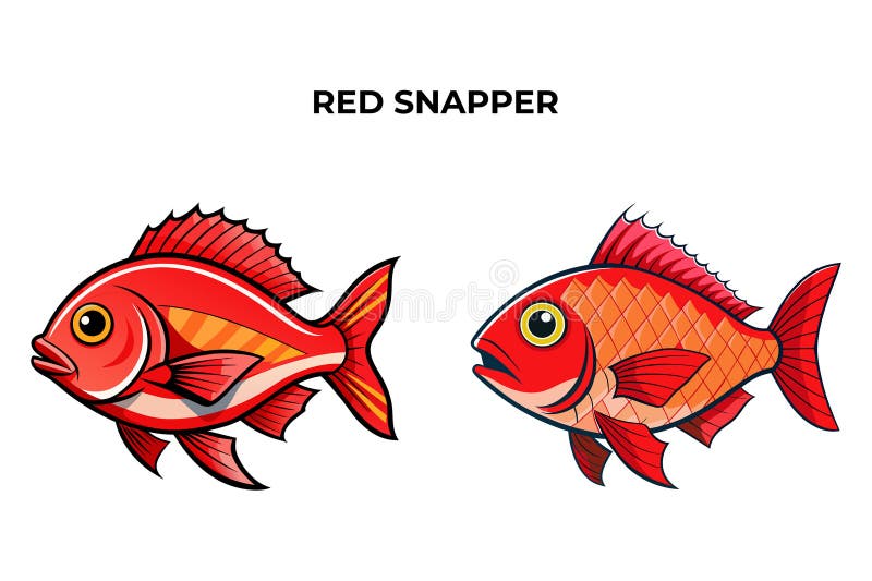 Red Snapper Fish Vector Illustration: a Versatile Design Resource Stock ...