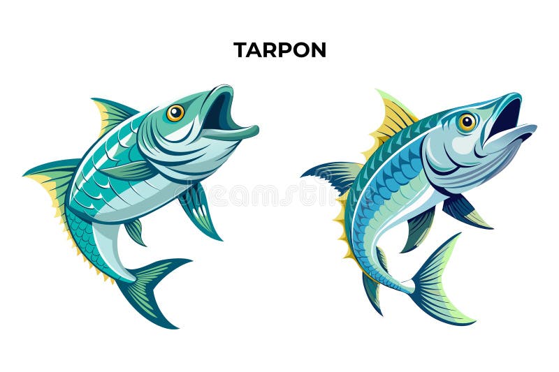 Tarpon Fish Vector Illustration: a Versatile Design Resource Stock ...