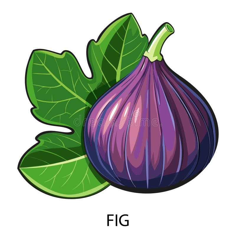 Cartoon Fig Leaf Stock Illustrations – 994 Cartoon Fig Leaf Stock ...