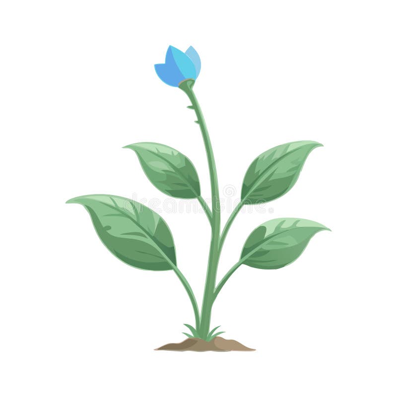 Isolated Blue Flower Plant Illustration on White Background Stock ...
