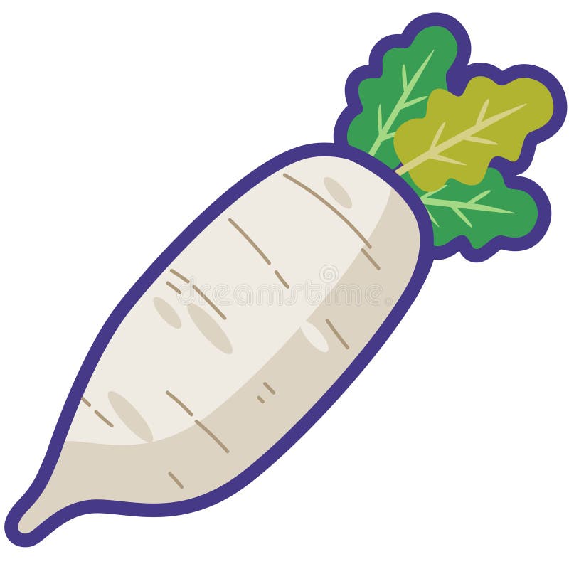 Lobak Putih Stock Illustrations – 2 Lobak Putih Stock Illustrations ...