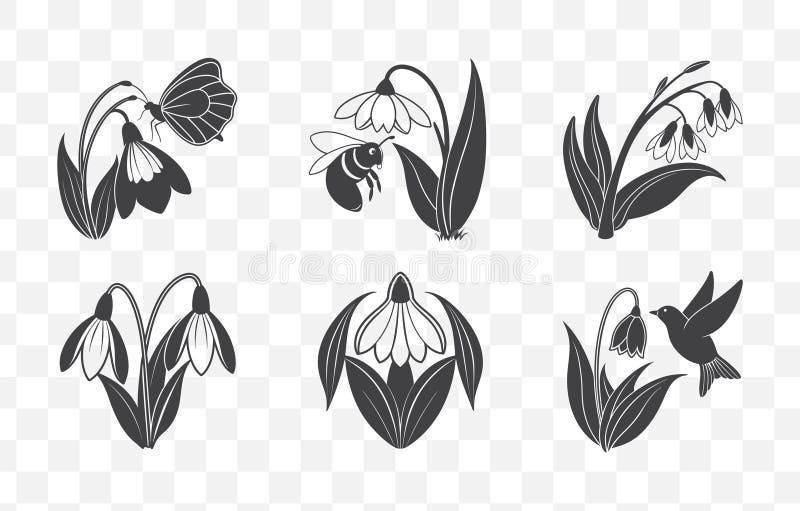 Print Snowdrop Flower Botanical Line Art Vector Set Elegant Floral ...