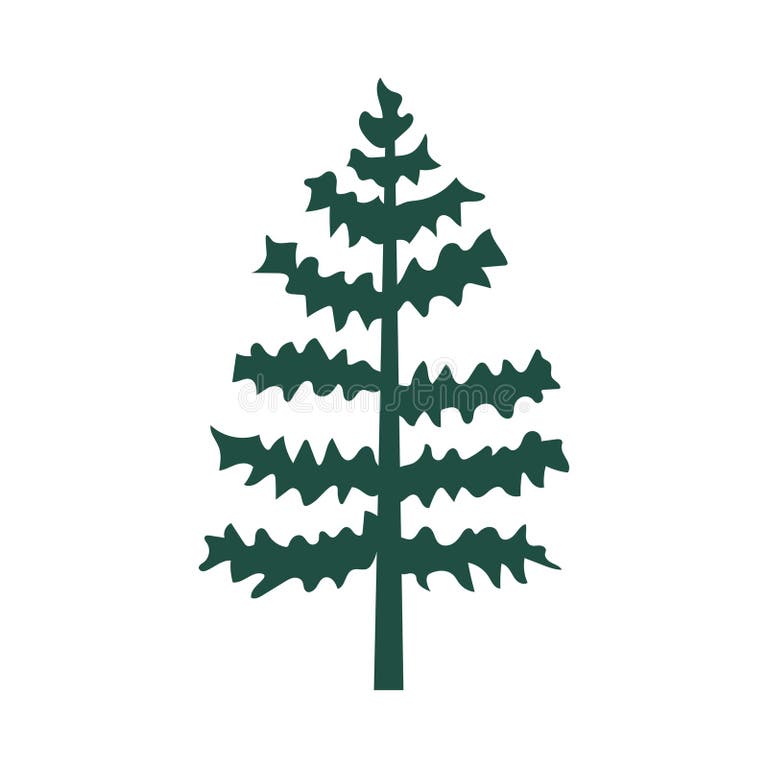 Simple Spruce Tree Vector Image, Pine Tree Illustration in Cartoon ...