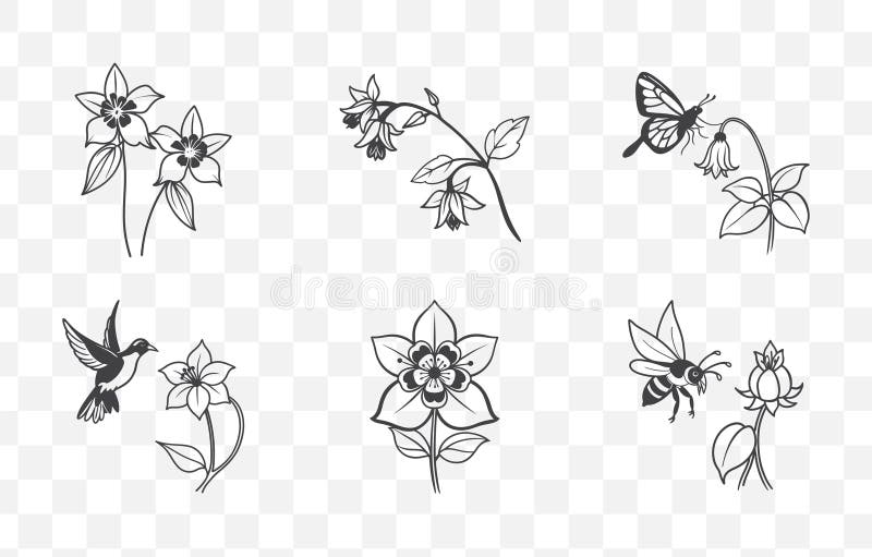 Print Columbine Flower Detailed Line Art Vector Set for Botanical ...
