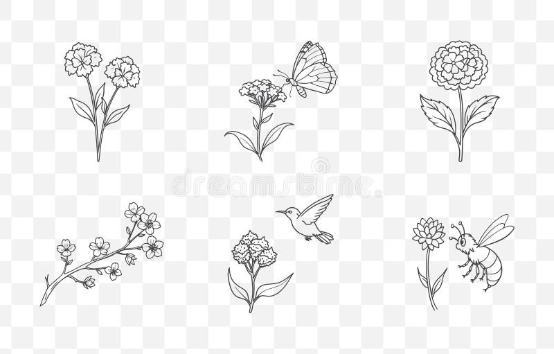 Print Statice Flower Line Art Vector Set Beautiful Detailed ...
